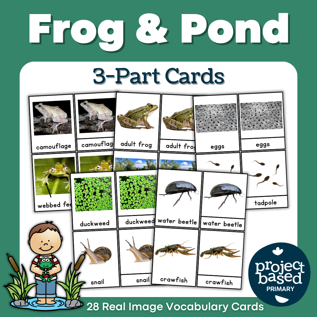 Frog and Pond 3 Part Cards – Project Based Primary