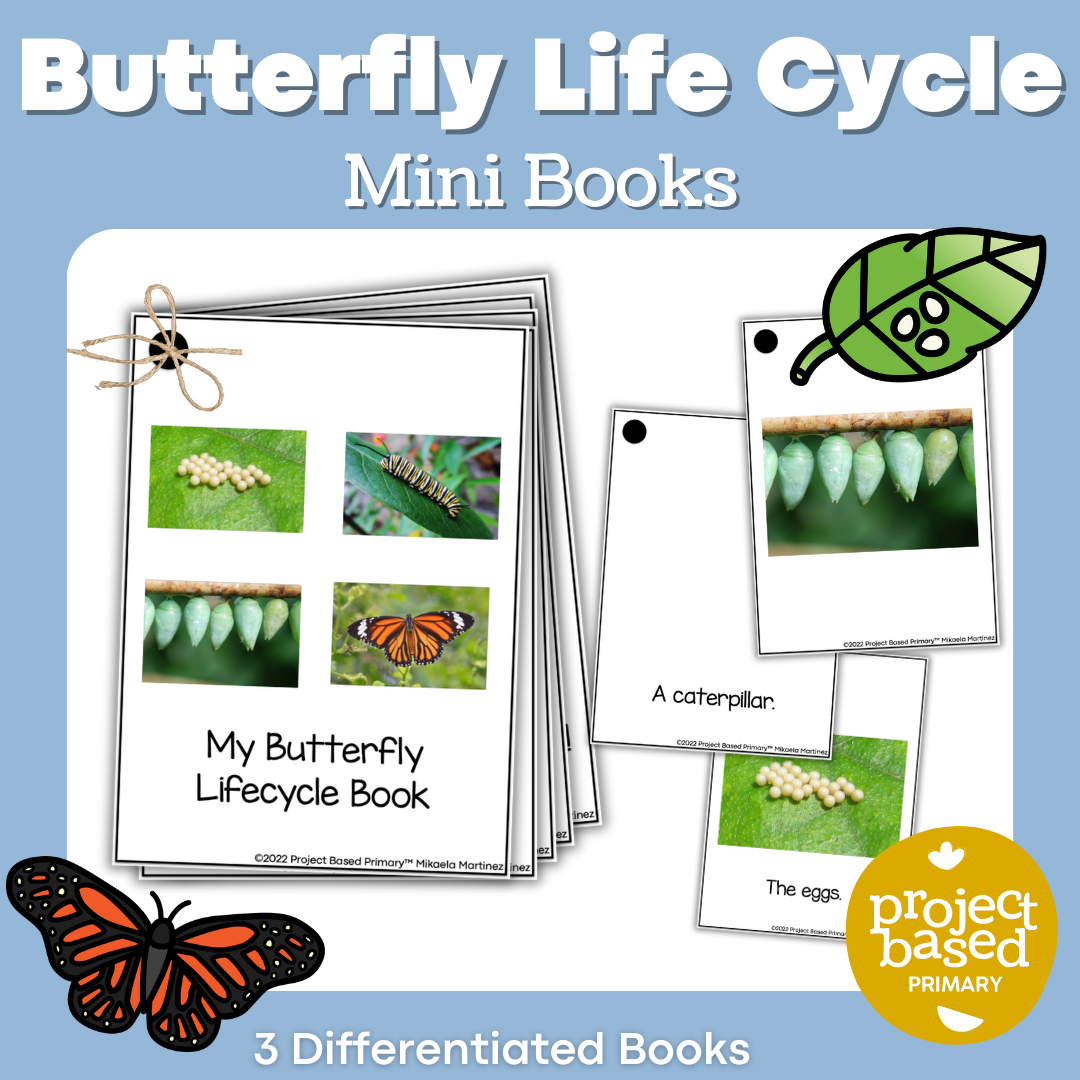 Butterfly Life Cycle Mini Books – Project Based Primary