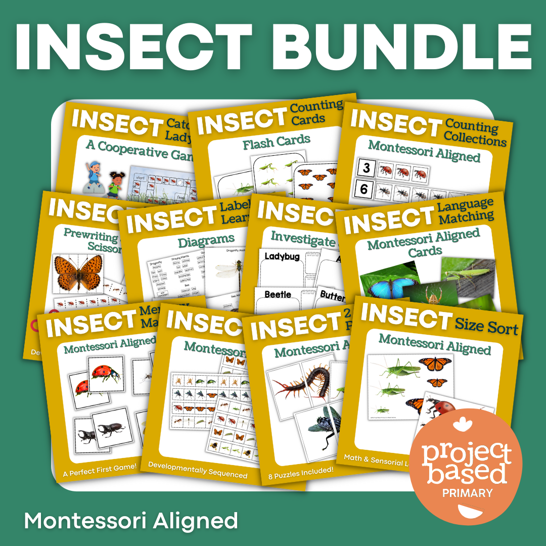 Insect Investigation Bundle – Project Based Primary