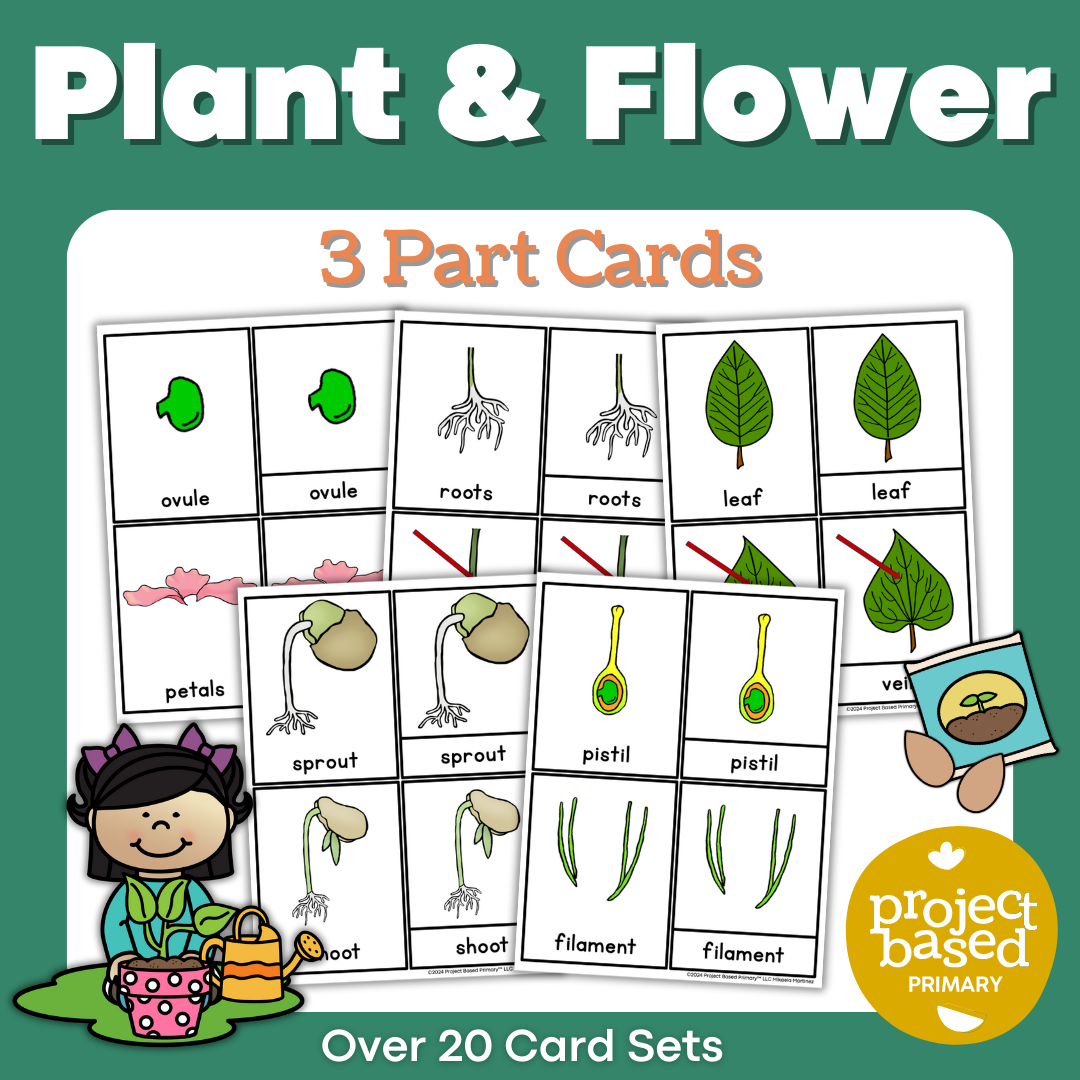 Plant and Flower 3 Part Cards – Project Based Primary