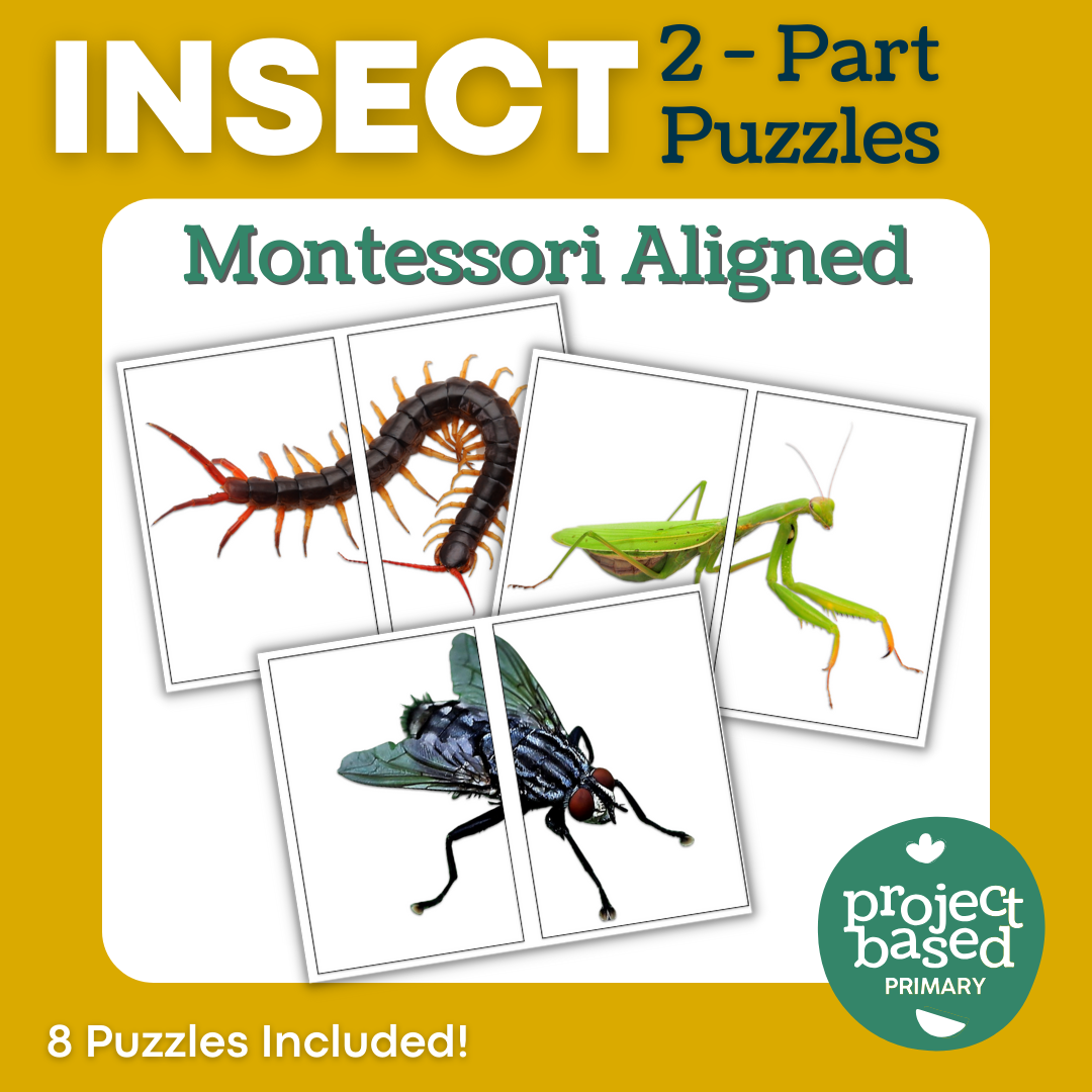 Insect 2 Part Puzzles – Project Based Primary