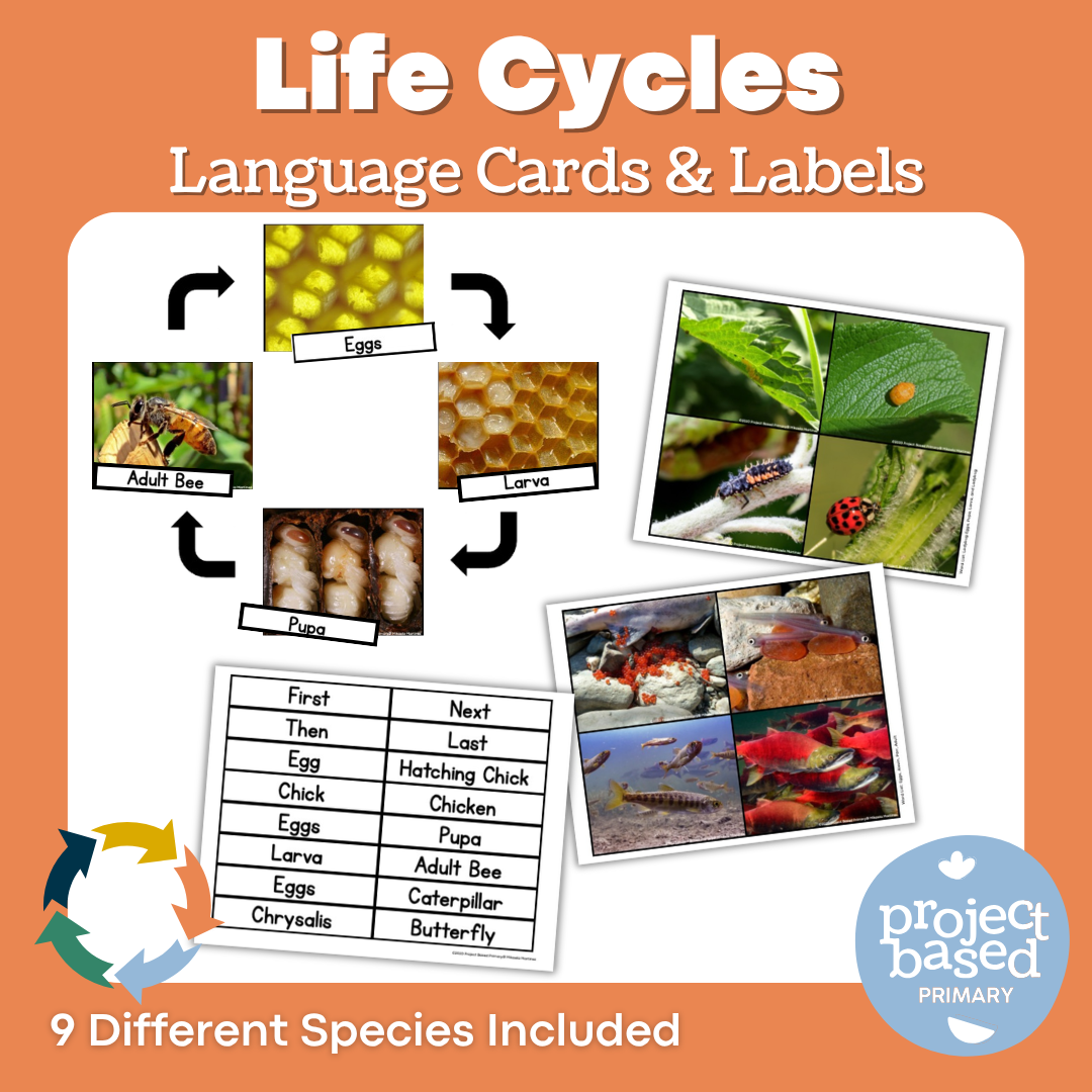 Life Cycles of Living Things – Project Based Primary