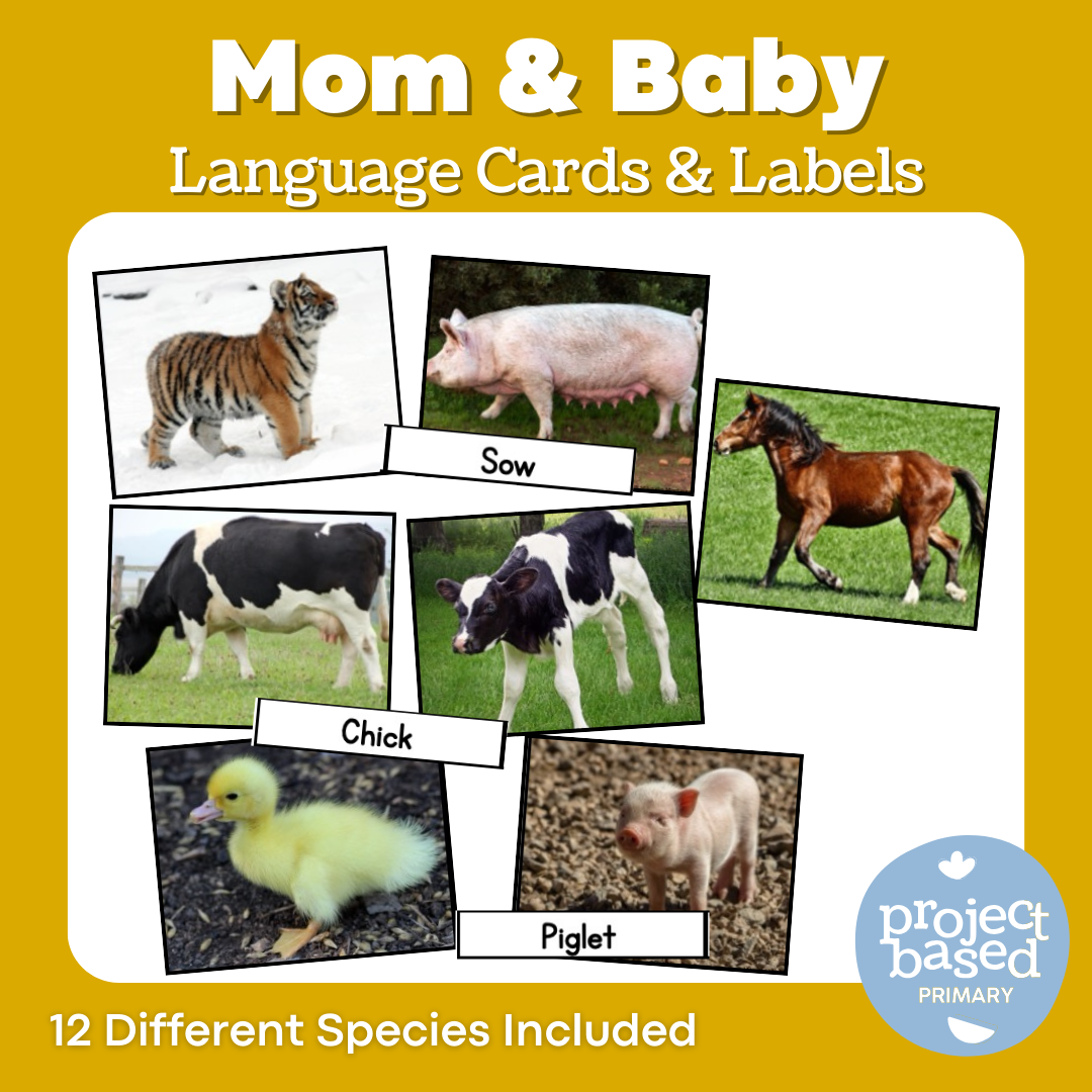 Mom & Baby Animal Matching Cards – Project Based Primary