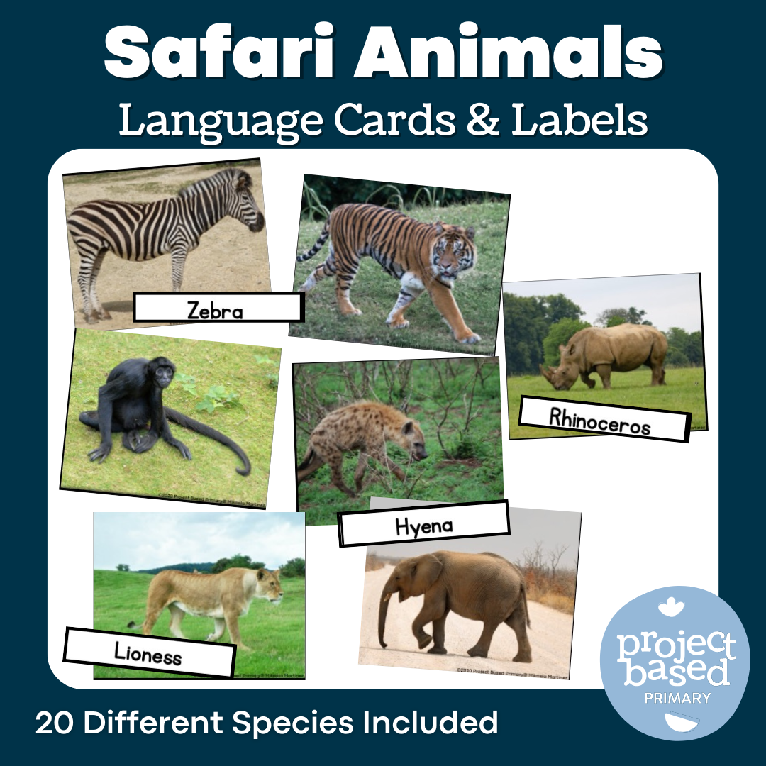Safari Animal Matching Cards – Project Based Primary