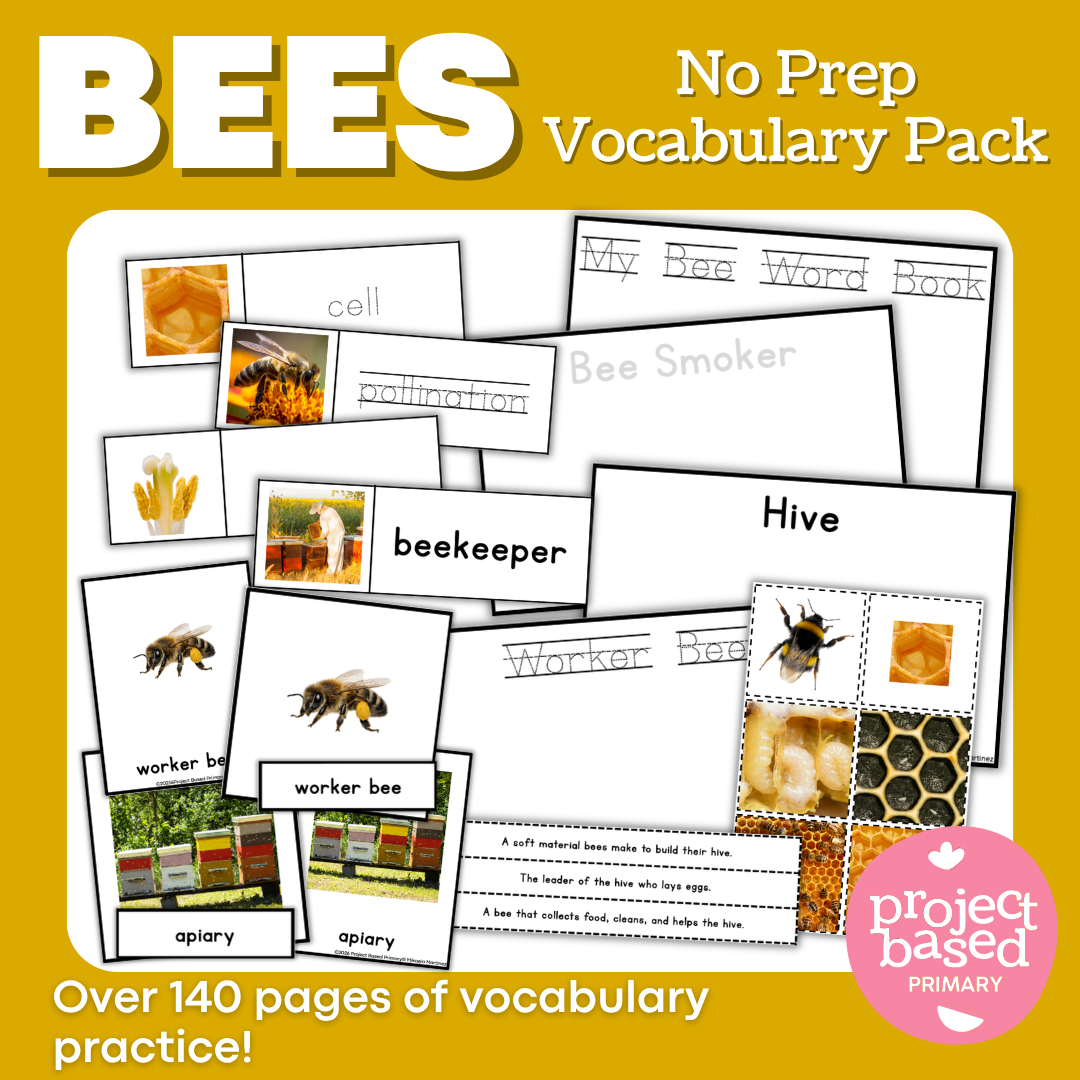 Bees No Prep Vocabulary Pack – Project Based Primary