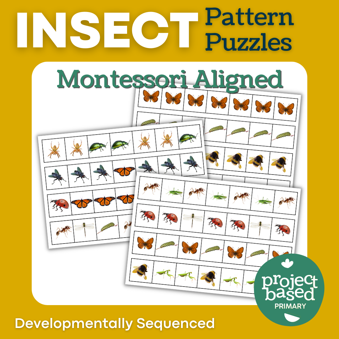 Insect Pattern Puzzles – Project Based Primary