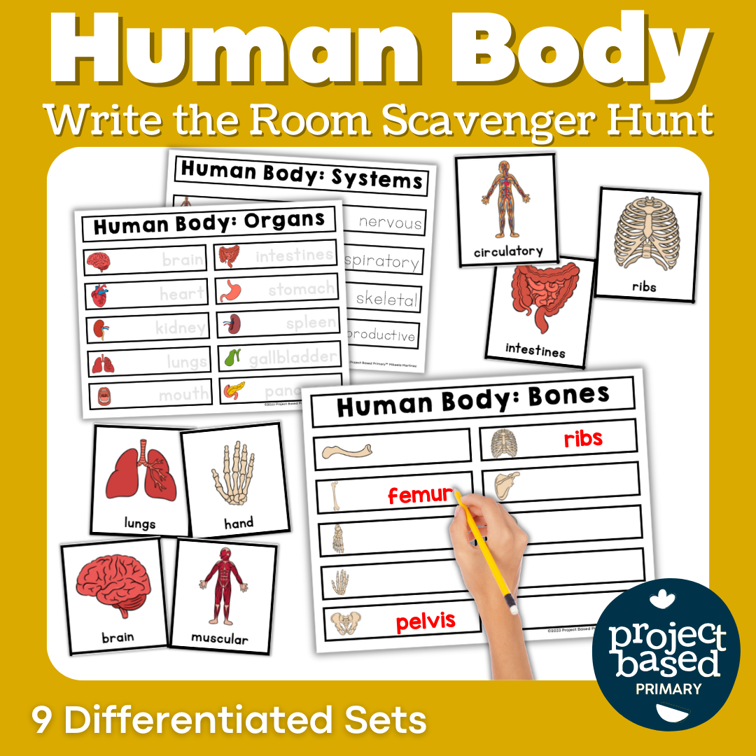Human Body Write the Room Scavenger Hunt – Project Based Primary