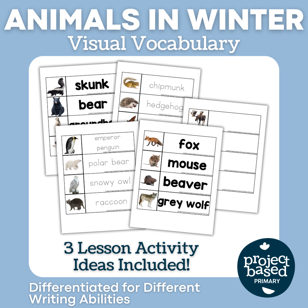 Animals in Winter: Visual Vocabulary – Project Based Primary