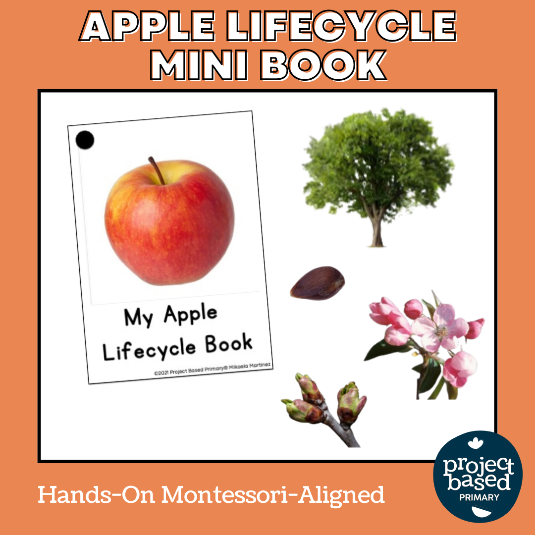 Apple Lifecycle Mini Books – Project Based Primary