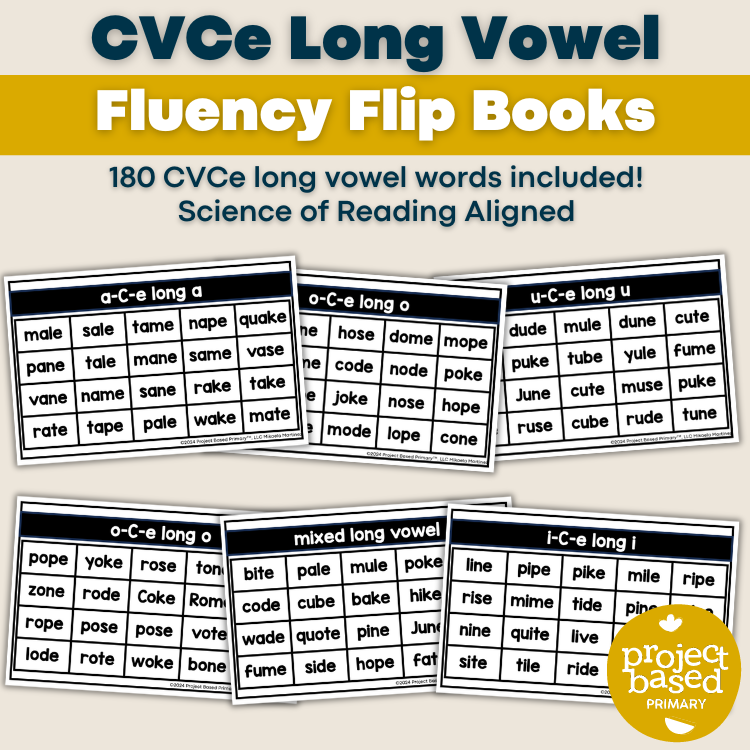 CVCe Decodable Fluency Flip Book – Project Based Primary