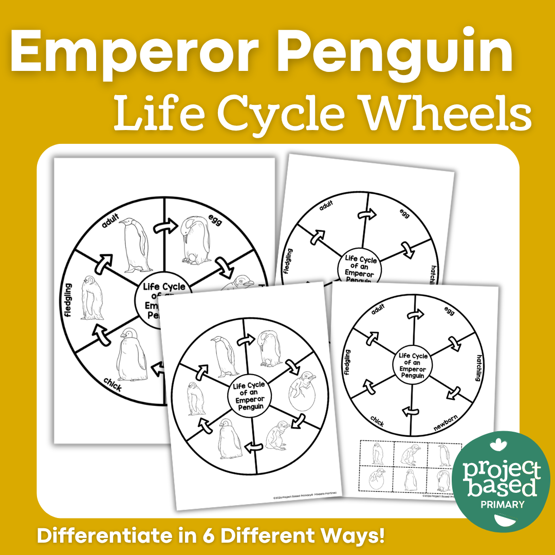 Emperor Penguin Life Cycle Wheels – Project Based Primary