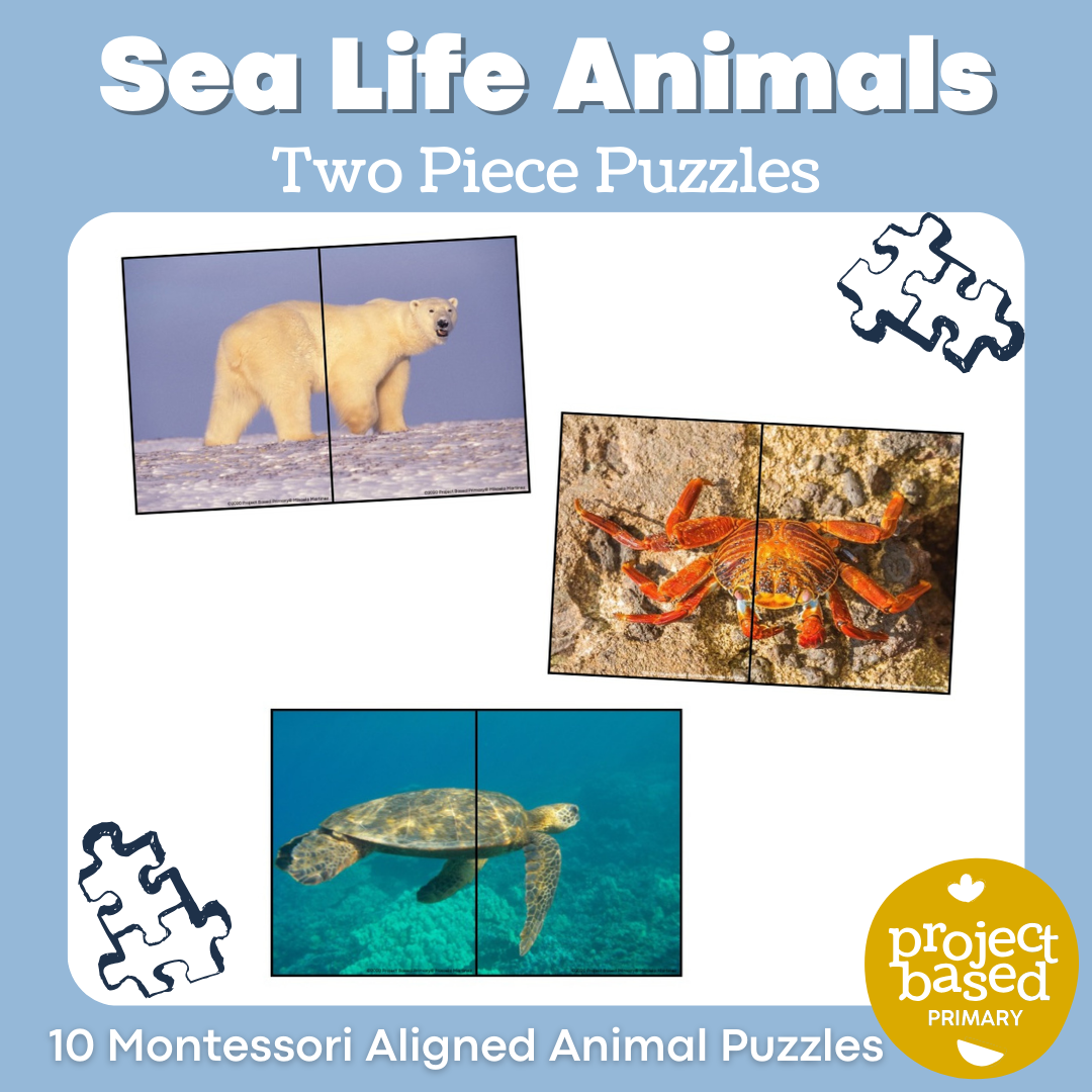 Sea Animal 2 Part Puzzles – Project Based Primary