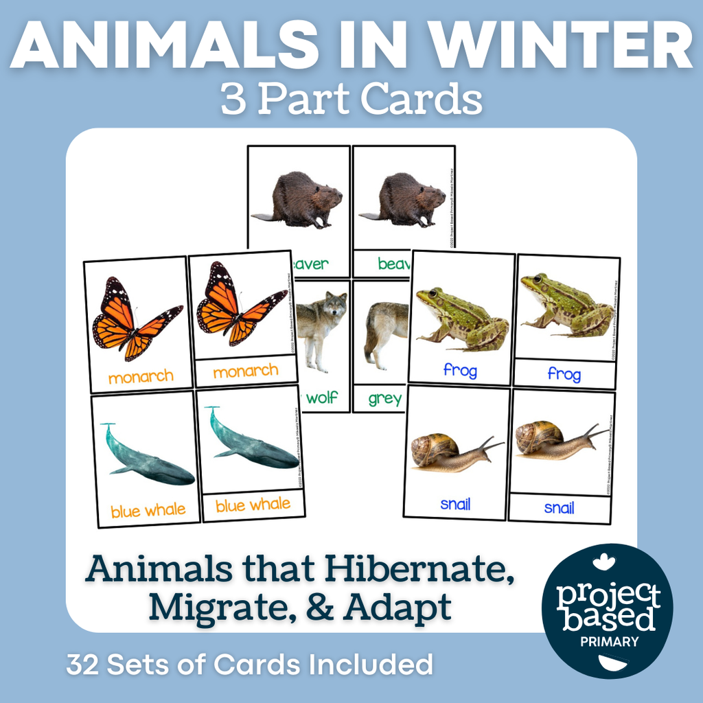 Animals in Winter: 3 Part Cards – Project Based Primary