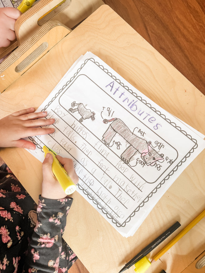 Scribbles to Stories® – Project Based Primary